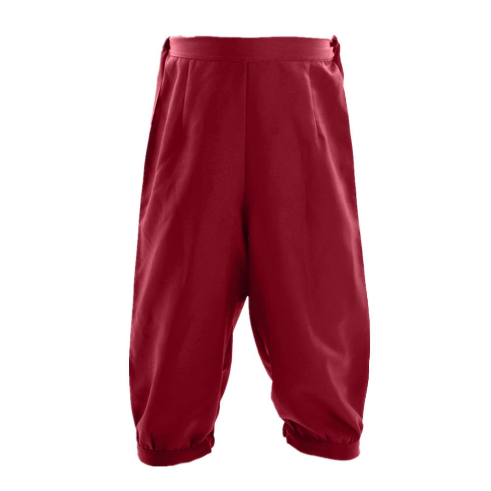 BLESSUME Retro Colonial Pants Renaissance Mens Knicker Pants Breeches