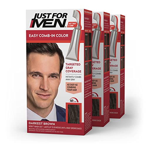 Just For Men Easy Comb-In Color Mens Hair Dye, Easy No Mix Application