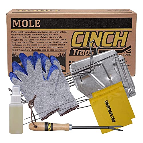 Cinch Mole Trap Deluxe Kit - Medium (2 Packs), Heavy Duty, Reusable Ro