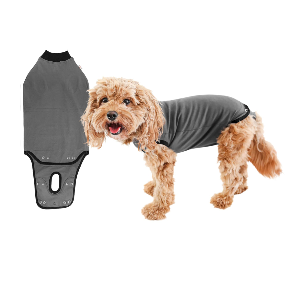 BellyGuard - Dog Recovery Suit, Post Surgery Dog Onesie for Male and F