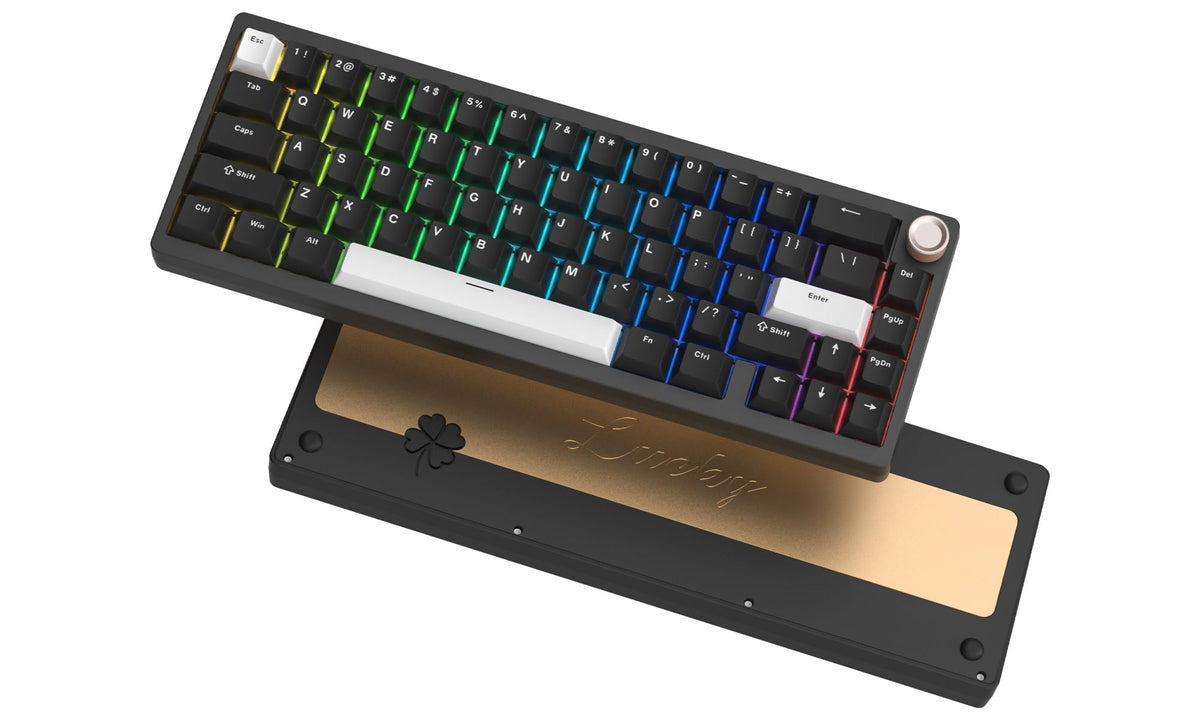 Womier SK65 Wireless Mechanical Gaming Keyboard, 60 Percent Retro Crea