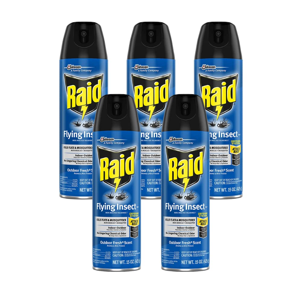 Raid Flying Insect Killer 15 Ounce (Pack of 5) — kate-minimalist