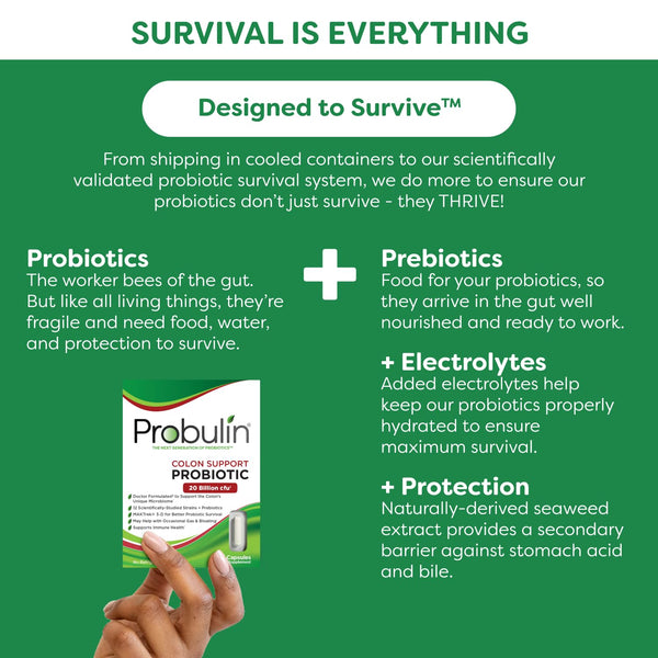 Probulin Colon Support Daily Probiotic + Prebiotic + Support Gut Healt ...