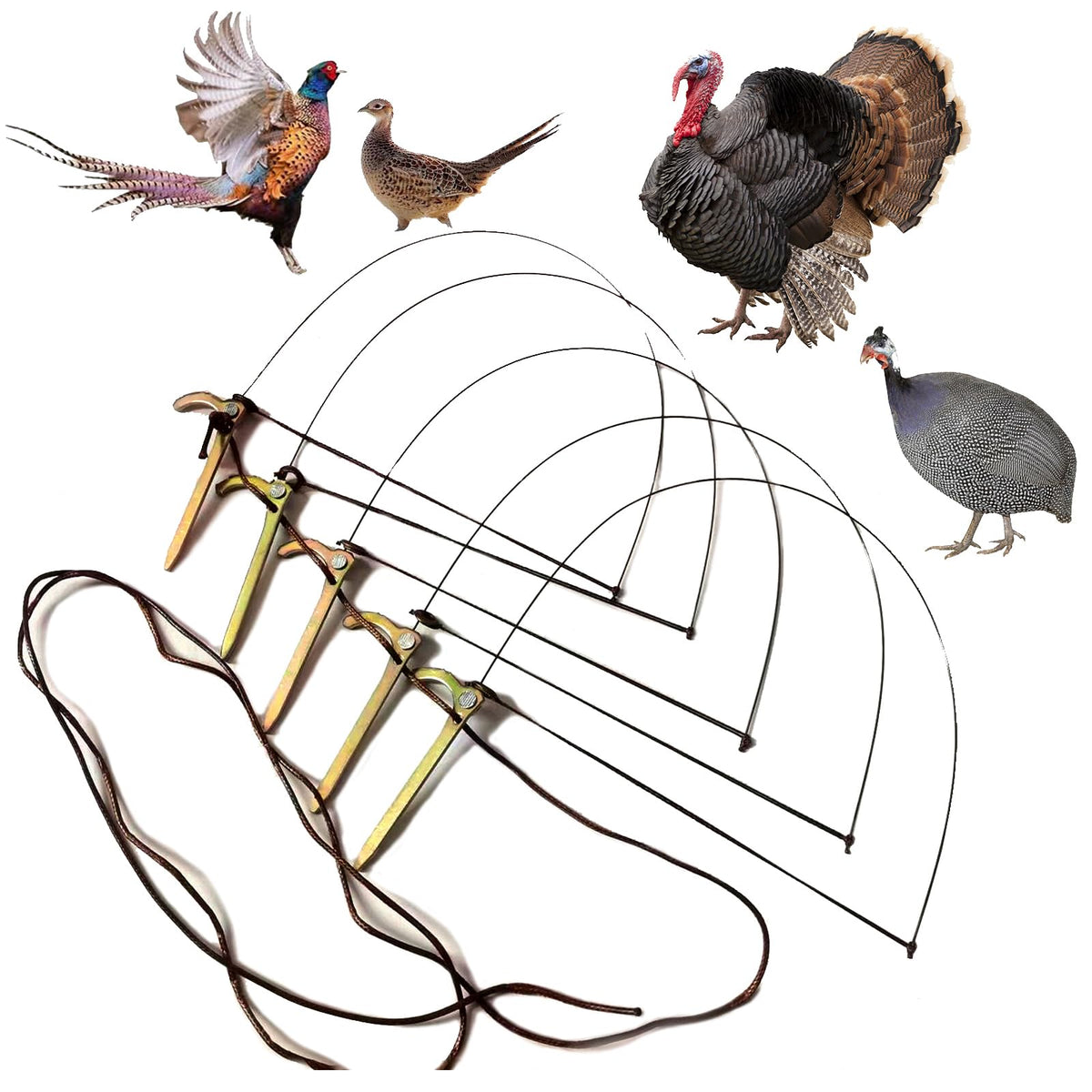 Professional Bird Trap for Chicken, Pheasant，Wild Duck, Partridge Mall
