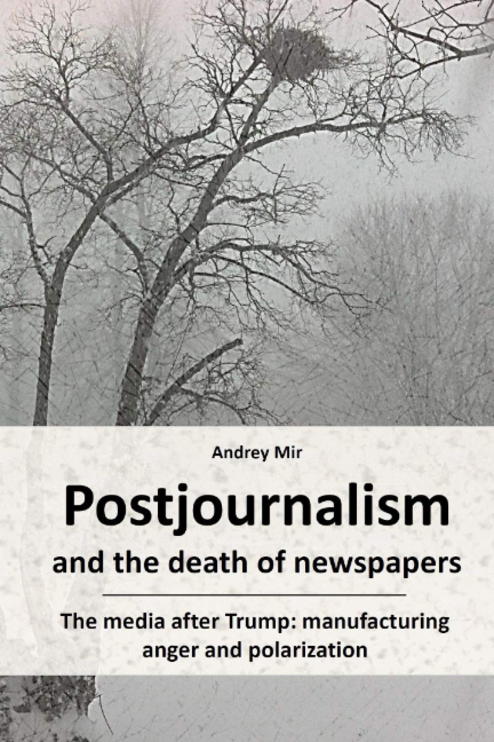 Postjournalism and the death of newspapers. The media after Trump: man