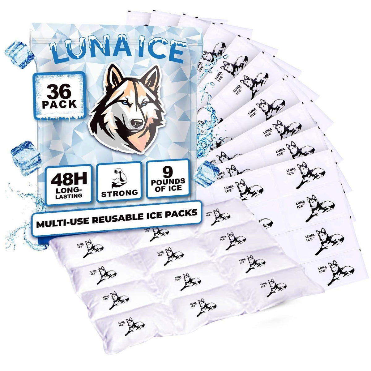 Ice Pack Bulk 12-600-Dry Ice for Shipping Frozen Food-Lunch Box Ice Pa ...