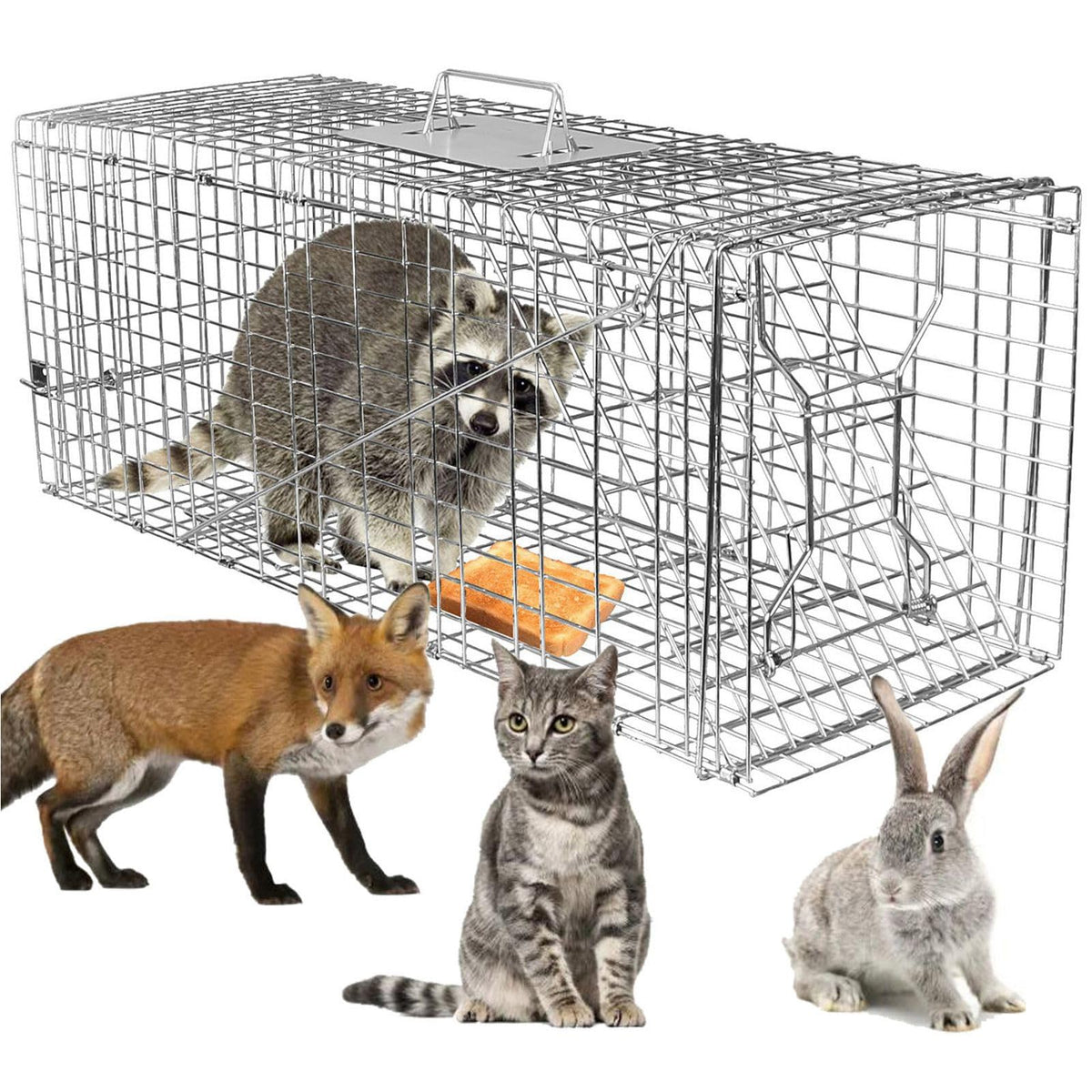 KOCASO Large Live Animal Trap Cage, Foldable Heavy Duty Humane Rat Tra