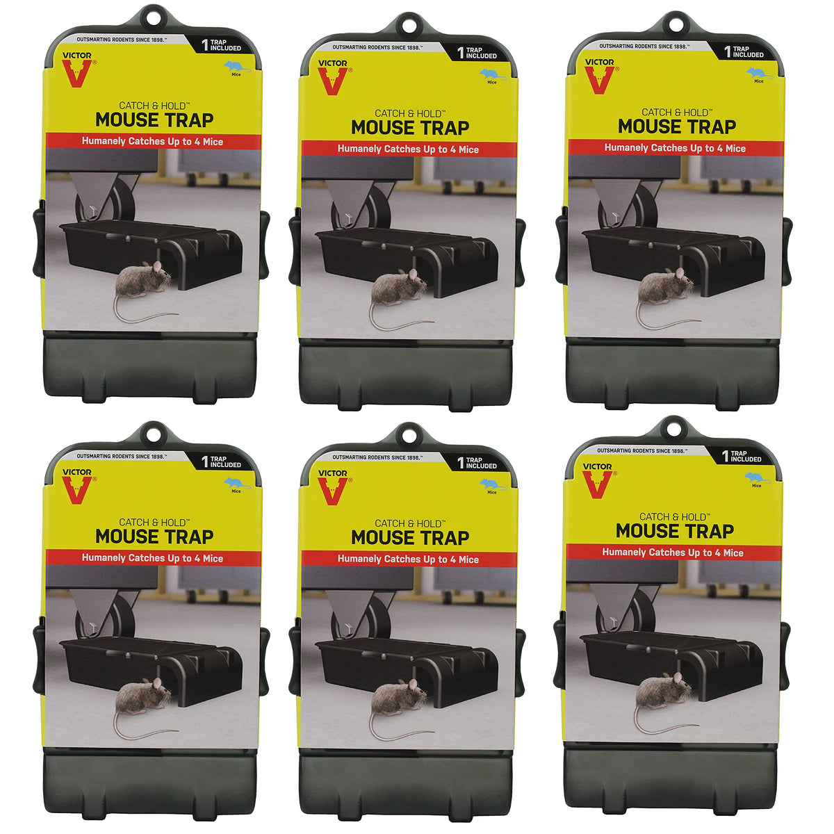 Victor 6 M333 Multiple Catch Humane Outdoor and Indoor Mouse Trap, Bla