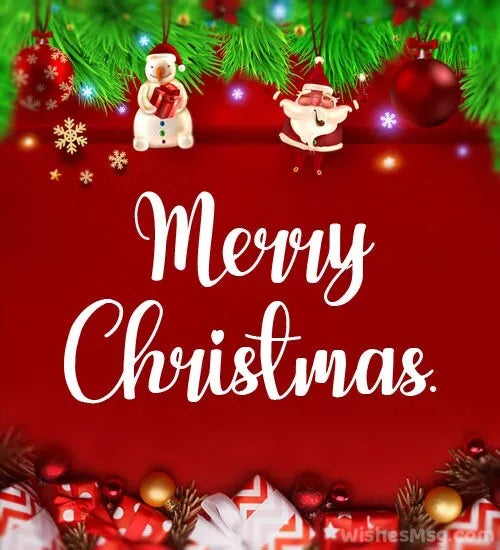 PRESIDENT DONALD TRUMP HUGGING A TABBY CAT MAGA 8X10 AI PHOTO – kate ...