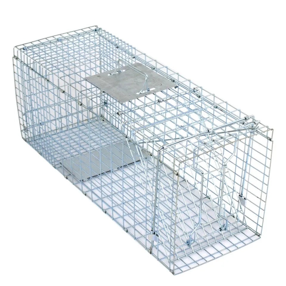 32" Live Animal Cage Trap Heavy Duty Folding Raccoon Traps Humane Cat