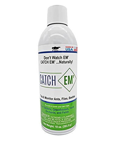 Catch EM' Sticky Coating Aerosol 10oz, Insect Trap Coating — kate ...