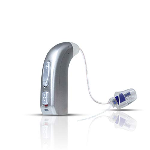 Banglijian Rechargeable Hearing Aid RIC(Receiver in canal) for Seniors
