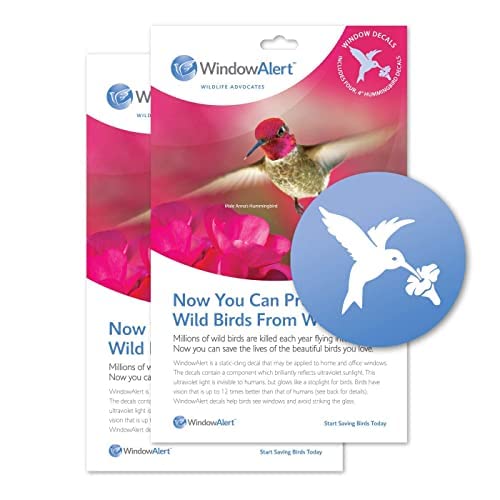 WindowAlert Hummingbird Anti-Collision Decal - UV-Reflective Window De