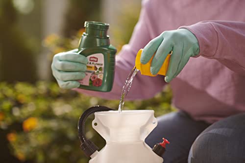 Ortho Rose & Flower Disease Control Concentrate, 16 oz – kate-minimalist