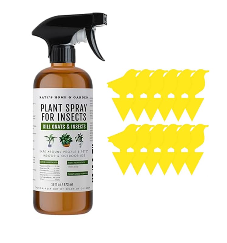 Plant Spray Bottle for Insects with Fruit Fly Trap (16oz) - Kate's Hom