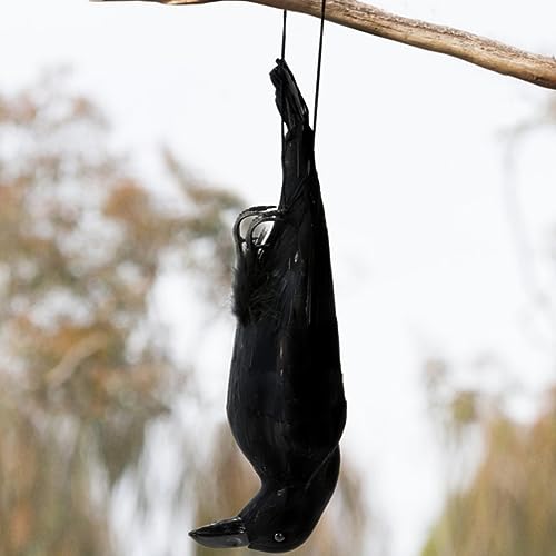 Noamus 17 Inches Realistic Hanging Dead Crow, Lifesize Extra Large Bla