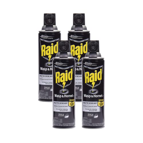 Raid Wasp Hornet Killer Spray 14 Ounce (Pack of 4) – kate-minimalist