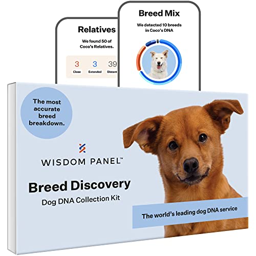 Wisdom Panel Breed Discovery Dog DNA Kit: Most Accurate Dog Breed Iden