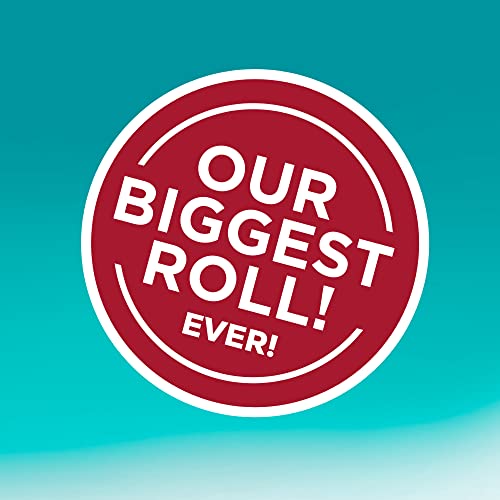 Angel Soft Toilet Paper, 24 Super Mega Rolls – kate-minimalist
