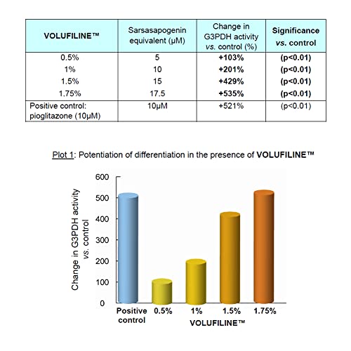 [ Volufiline 10ml ] Cosmetic Ingredient - 100% Volufiline Ampoule 10ml ...