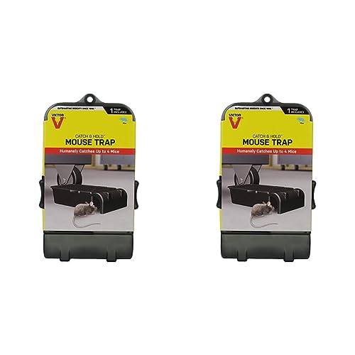 Victor M333 Multiple Catch Humane Outdoor and Indoor Mouse Trap (Pack