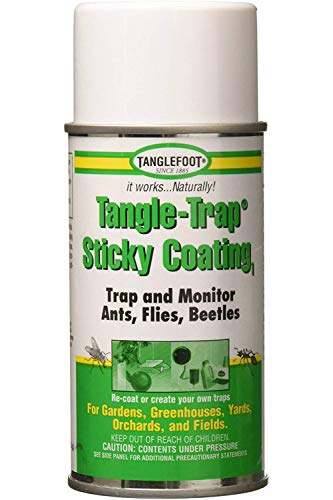 Tanglefoot Fly Tangle-Trap Sticky Coating (Aerosol), 10 oz.