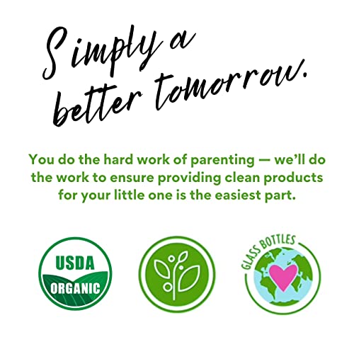 Wellements Organic Iron Drops for Babies | Essential Liquid Iron Suppl ...