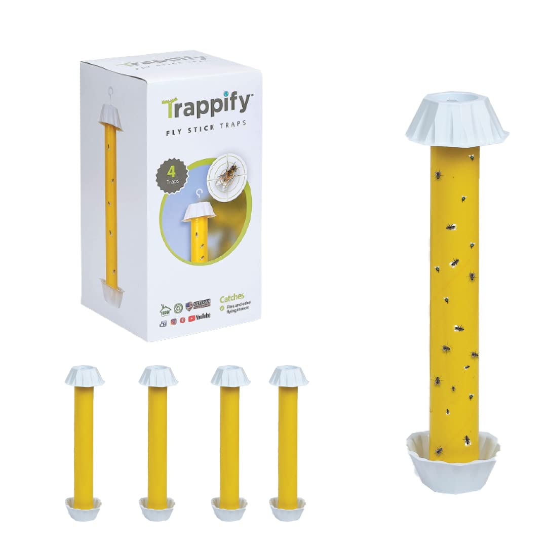 Trappify Hanging Fly Traps Outdoor: Fruit Fly Traps for Indoors | Fly