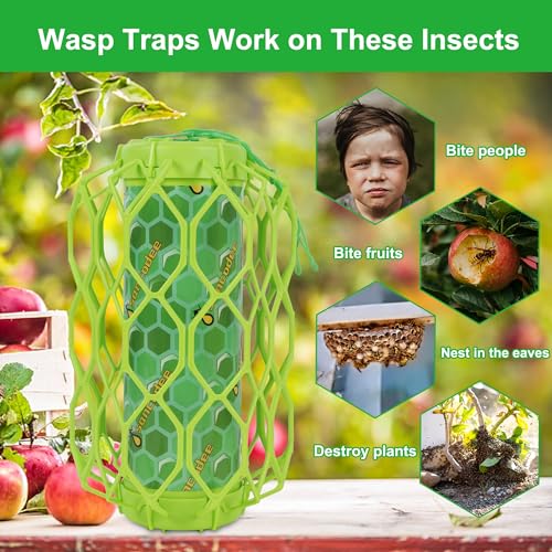 Sancodee 2 Pcs Wasp Trap Outdoor Hanging, Insect Catcher for Wasps and ...