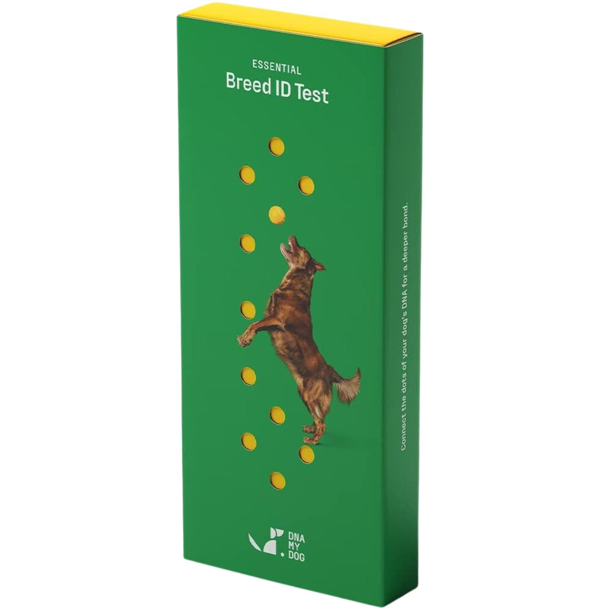 Dna My Dog Essential Test –Breed ID Test Mixed Breed Identification, P