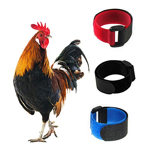 3 Pack No Crow Rooster Collar, Chicken Collar Anti-Hook Noise Free Nec
