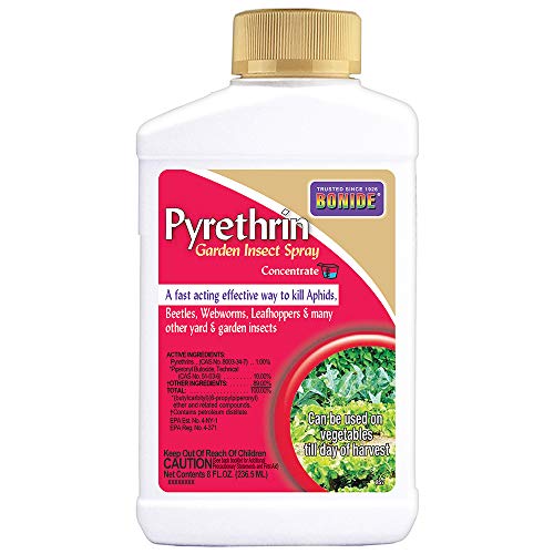 Bonide Pyrethrin Garden Insect Spray Concentrate, 8 oz Ready-to-Mix Fa