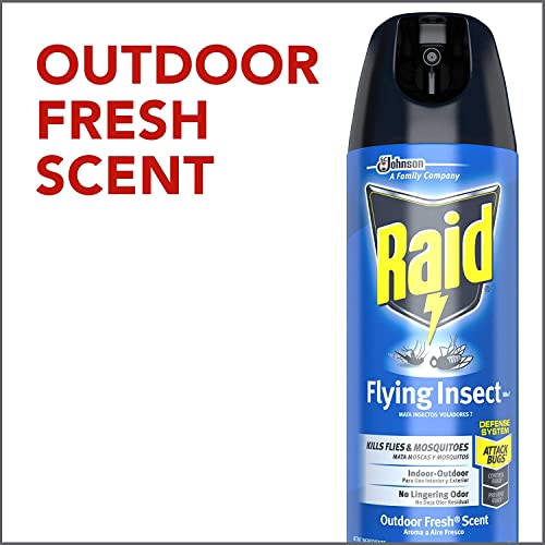Raid Flying Insect Killer, 15 OZ, 2-Pack – kate-minimalist