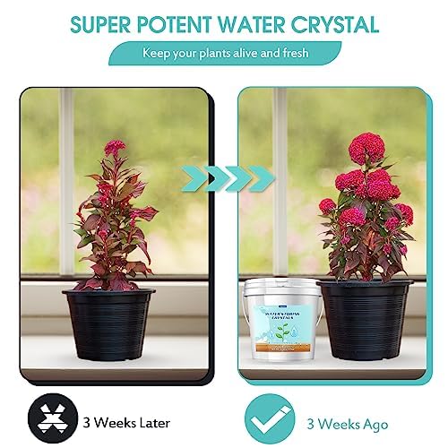 5LB Water Storing Crystals for Plants with Spoon, Water Gel Solves Pla ...