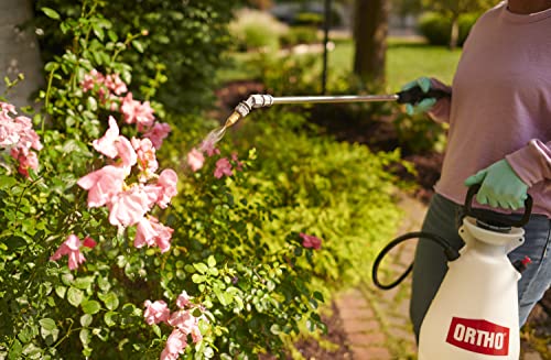 Ortho Rose & Flower Disease Control Concentrate, 16 oz – kate-minimalist