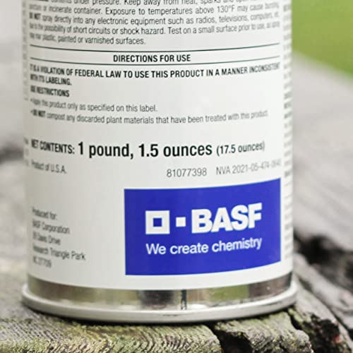 PT Phantom II Pressurized Insecticide Insect Control Spray17.5 oz ...