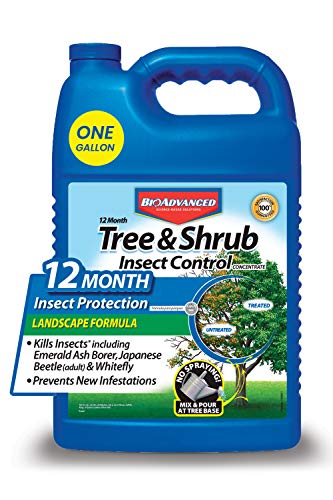 BioAdvanced 701525A 12-Month Shrub Control Insect Killer and Tree Fert