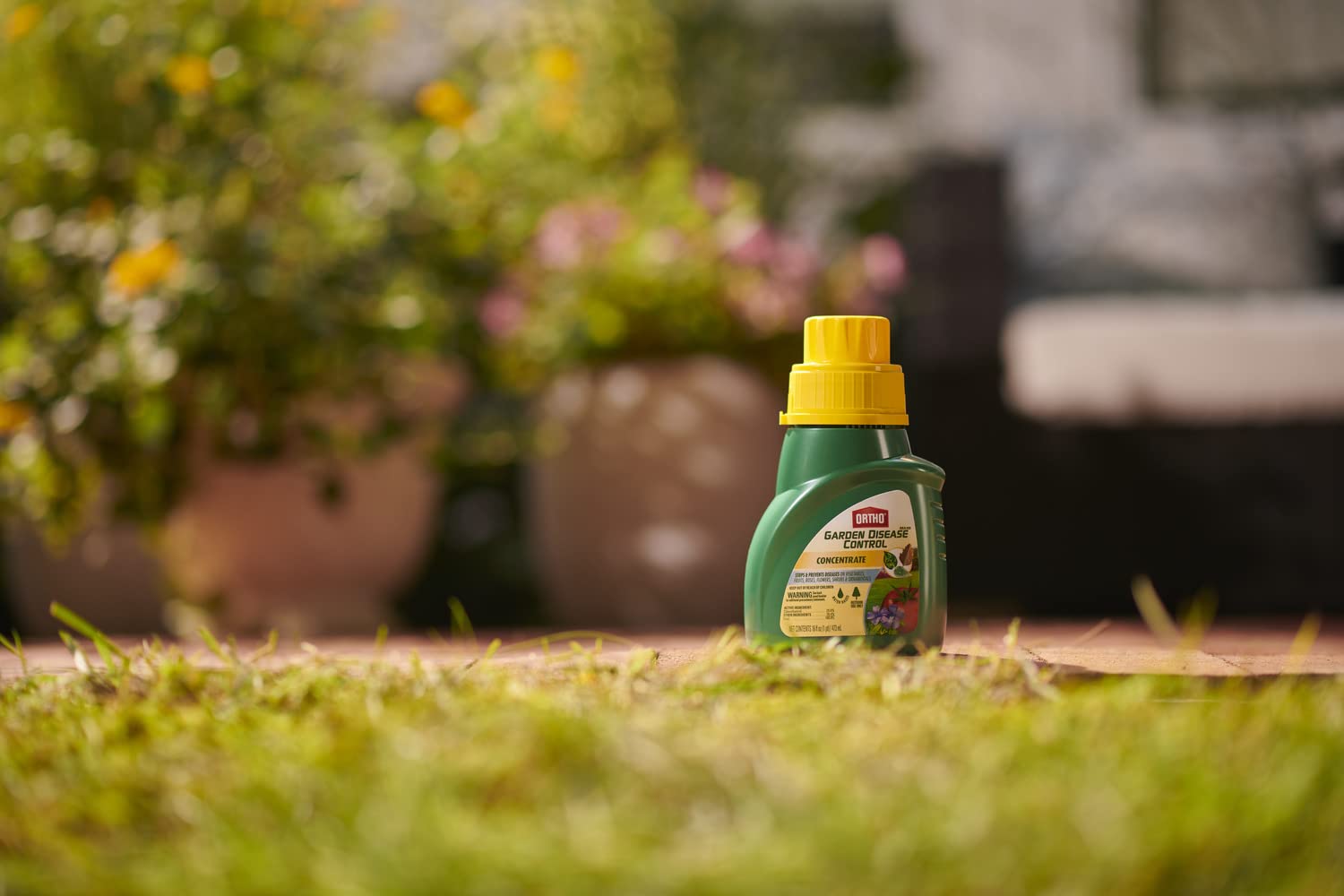 Ortho MAX Garden Disease Control Concentrate For Insects, 16 oz. – kate ...