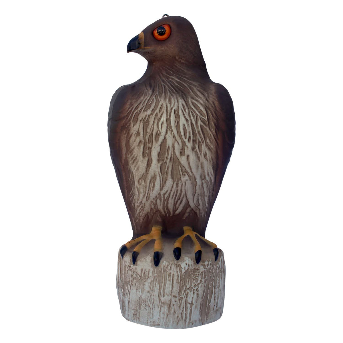 Bird B Gone Plastic Hawk Decoy to Scare Birds Away, Bird Deterrent Dev