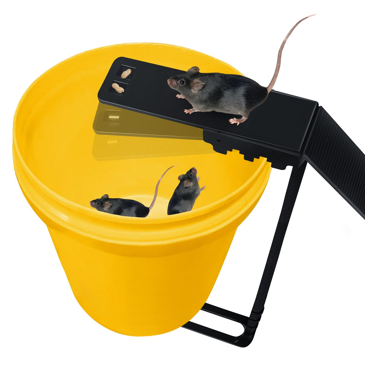 Bucket Mouse Trap, Walk The Plank Rat Trap Multi Catch Mouse Trap for