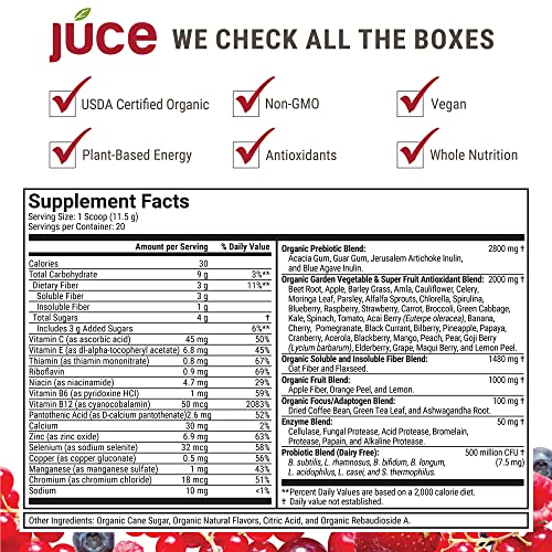 JUCE Reds Organic Superfood Powder - Garden Berry Flavor | Fruit and V ...