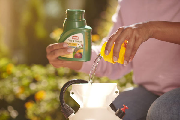 Ortho Tree & Shrub Fruit Tree Spray, 16-Ounce – kate-minimalist