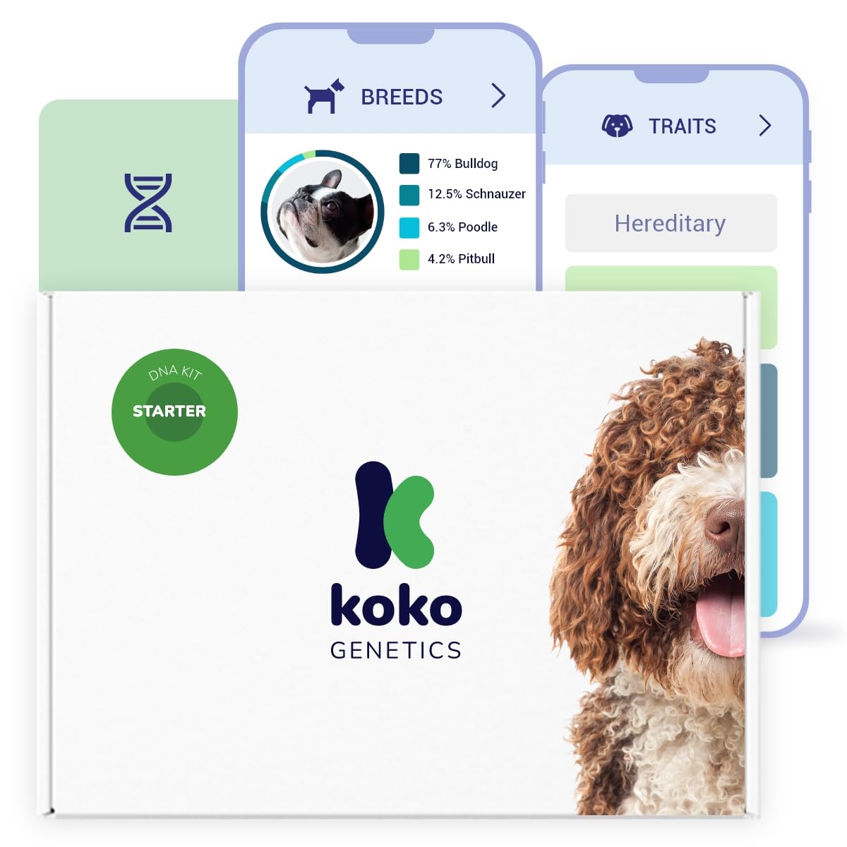 Koko DNA Test for Dogs Starter - (Breeds and Traits Reports) - Updates