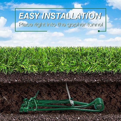 Qualirey 8 Pcs Outdoor Gopher Trap Easy Set Mole Trap Weather Resistan ...