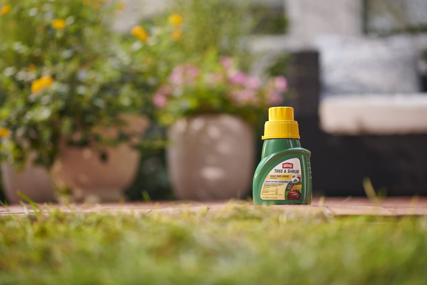 Ortho Tree & Shrub Fruit Tree Spray, 16-Ounce – kate-minimalist