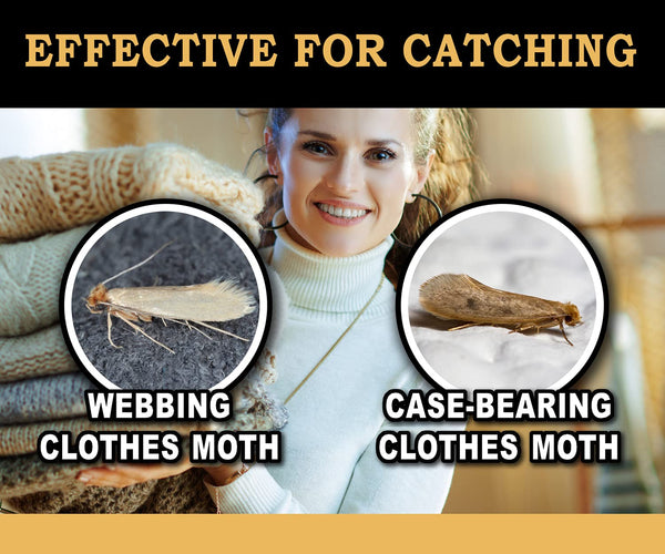 MaxGuard Clothes Moth Traps (12+2 Free Traps) Extra Strength Pheromone ...