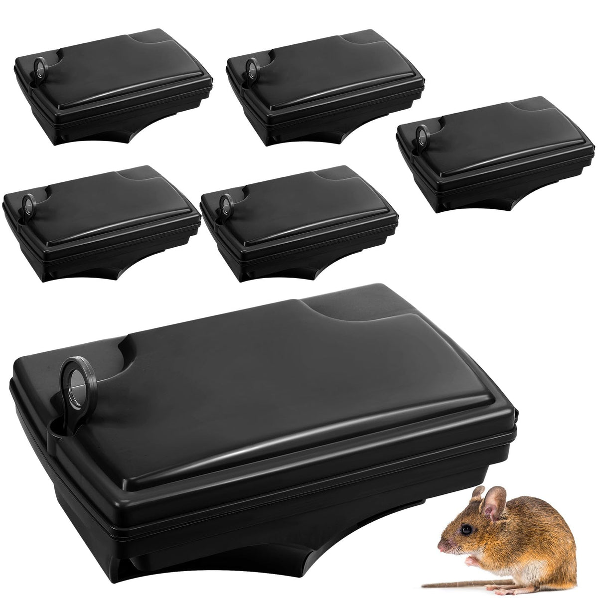 Qualirey 6 Pack Rat Bait Stations with 6 Keys Reusable Mouse Bait Stat