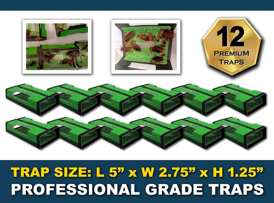 MaxGuard Roach + Spider Traps (12 Box Traps) | Non-Toxic Extra Sticky