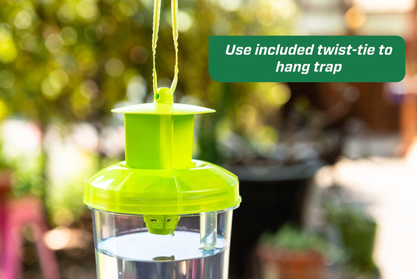 RESCUE! WHY Trap for Wasps, Hornets, & Yellowjackets – Hanging Outdoor ...