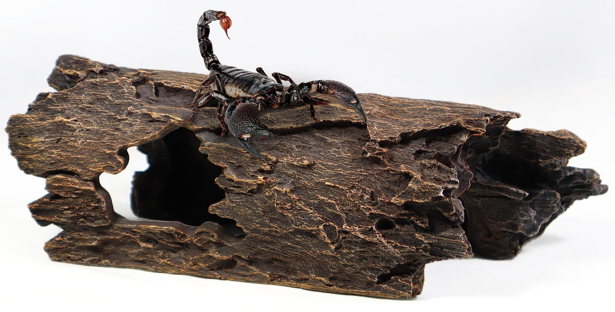 Large Reptile Hide Leopard Gecko Tank Accessories Driftwood for Aquari